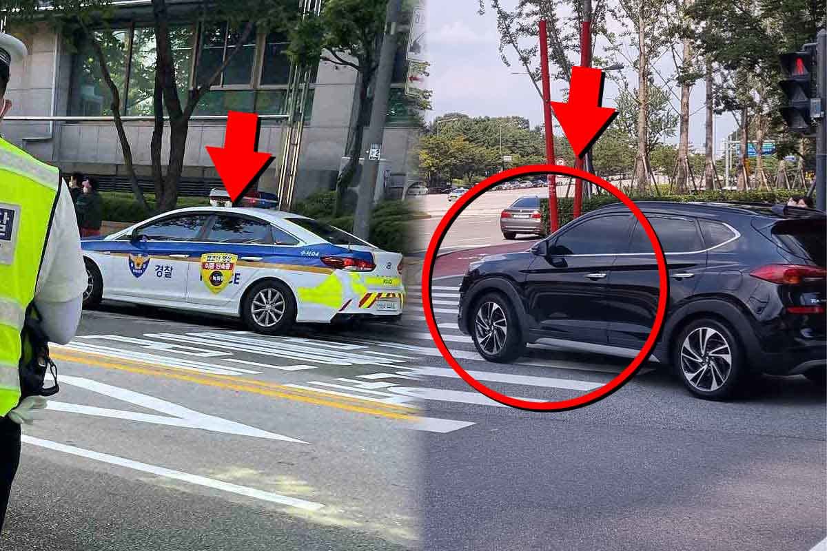 “경찰 지독하네” 운전자 260만명, 1조 넘게 뜯겼다