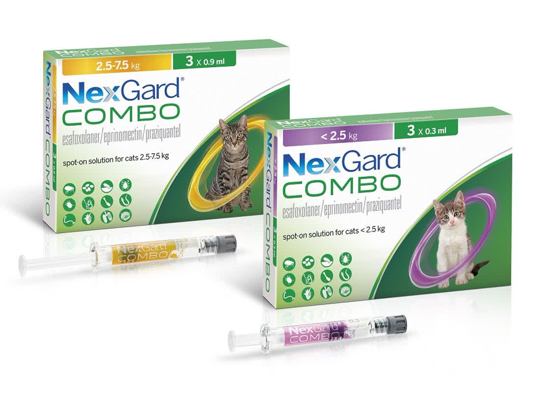 Boehringer Ingelheim Animal Health Korea launches NexGard Cat Combo, an ...