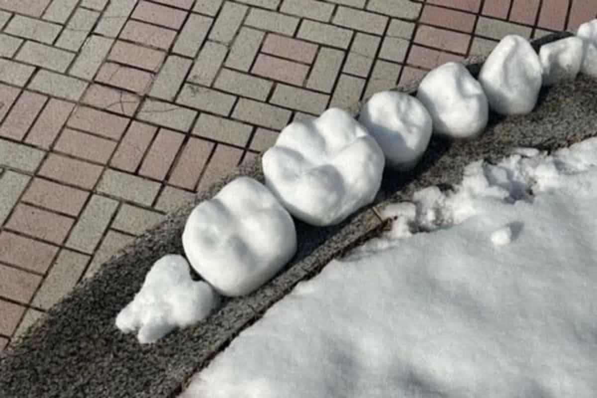 Dientes hechos antes de la escuela de odontología.