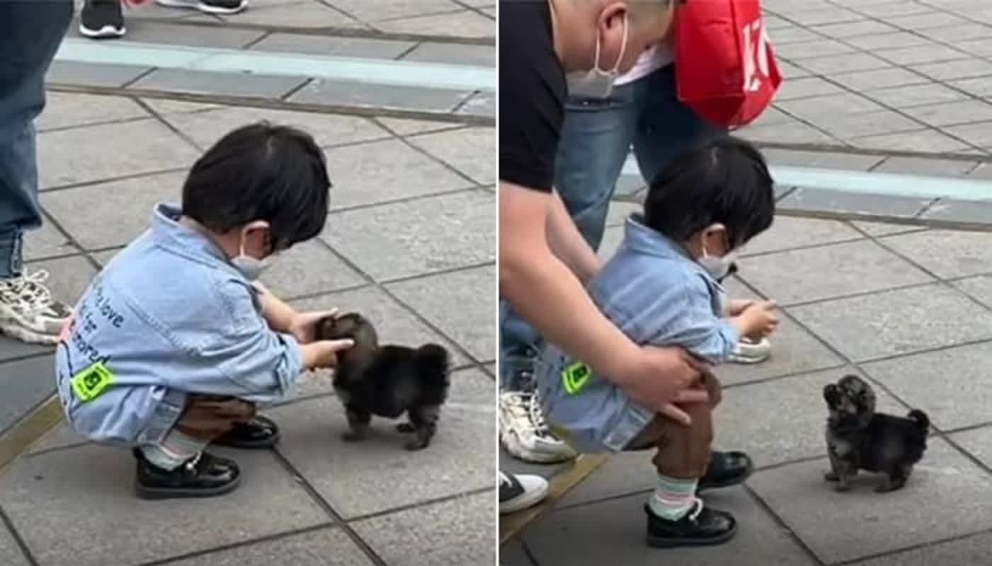 "I picked up my son who was petting a puppy and he followed me around."