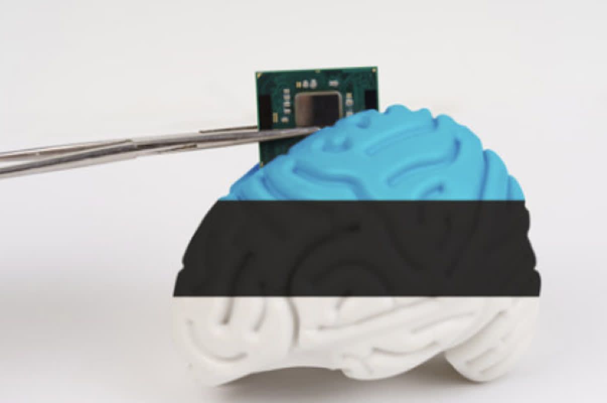 Gehirnchips des China Brain Research Institute und von New Cyber, die ...