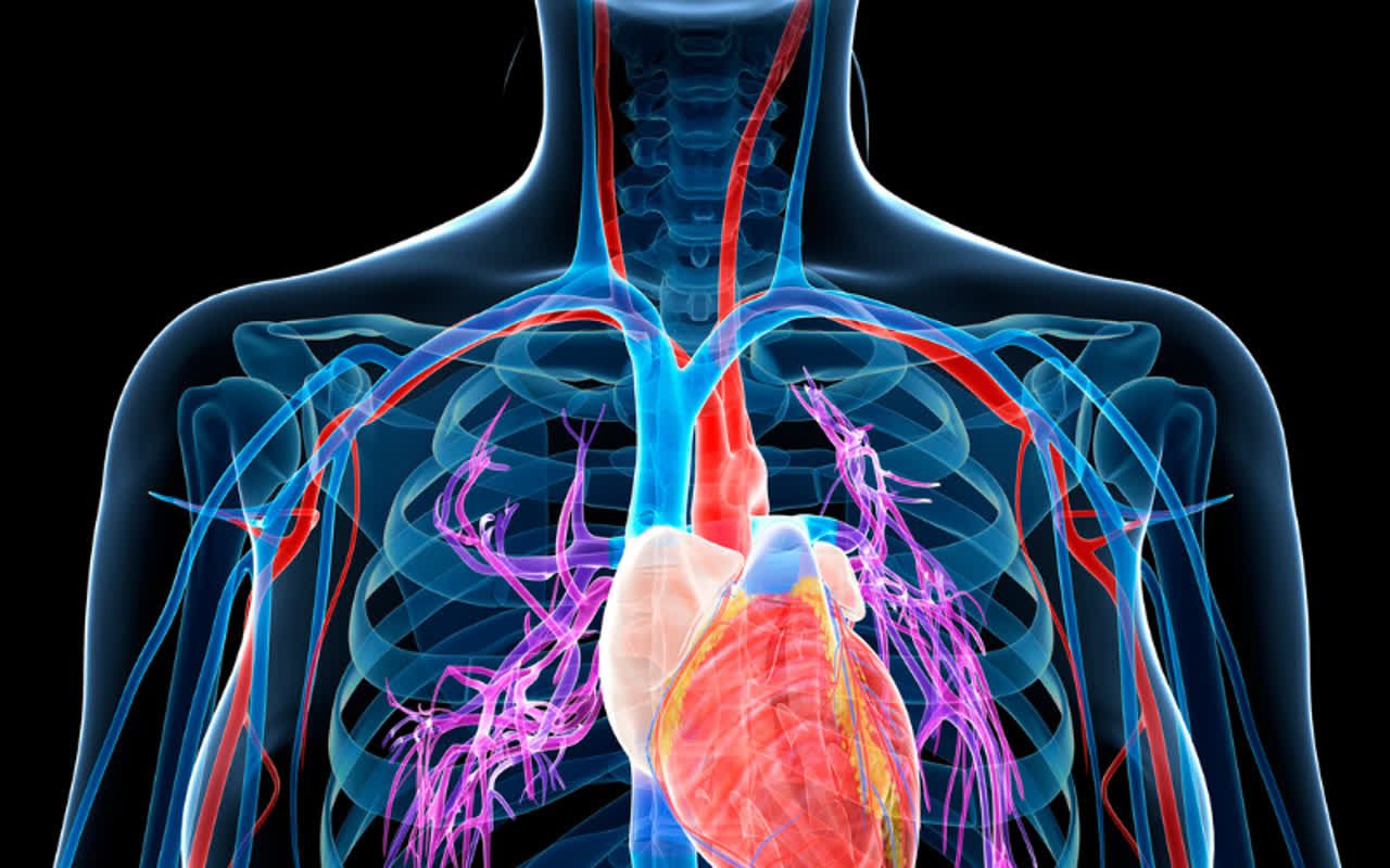 혈관이 젊어지면 몸도 젊어집니다! 의사들이 추천하는 노화 늦추는 방법 | 뇌생각