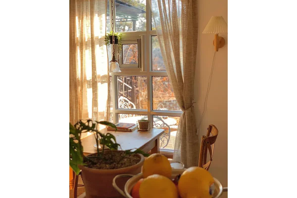 "노랗고 길쭉해 바나나인 줄" 10만분의 1 확률로 잡힌 초희귀 물고기